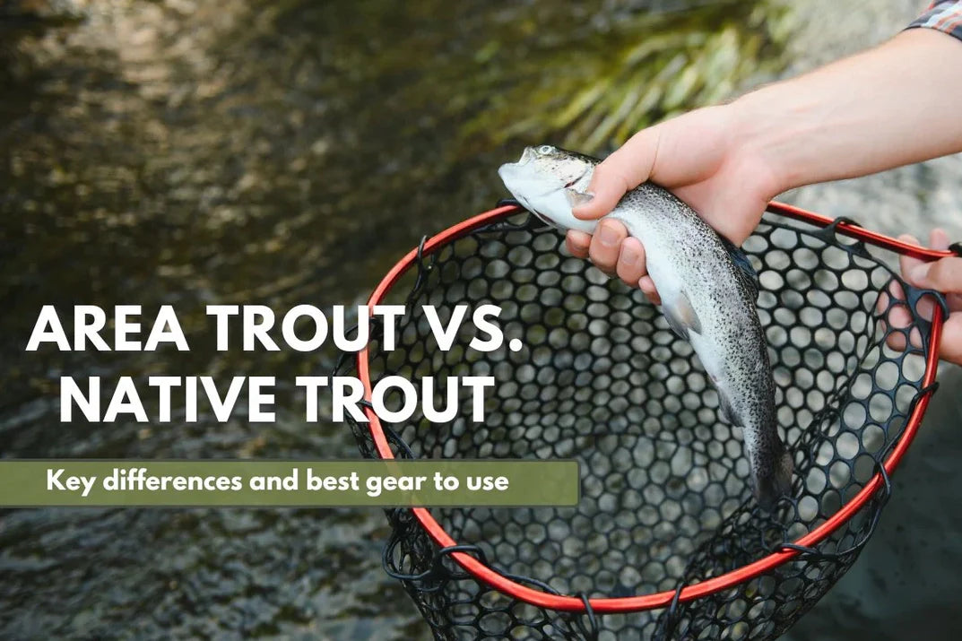 Choosing Between Area Trout and Native Trout: A Practical Guide – JDM ...