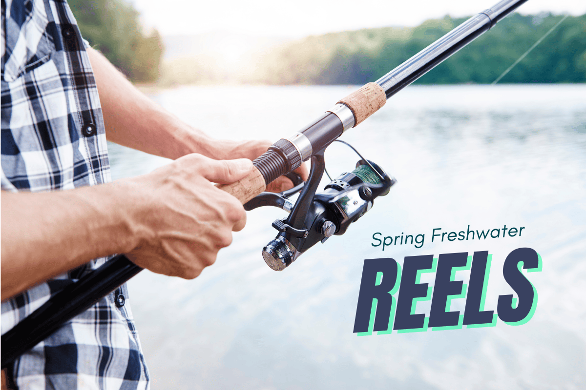 Top Reels for Precision and Performance in Freshwater – JDM TACKLE HEAVEN