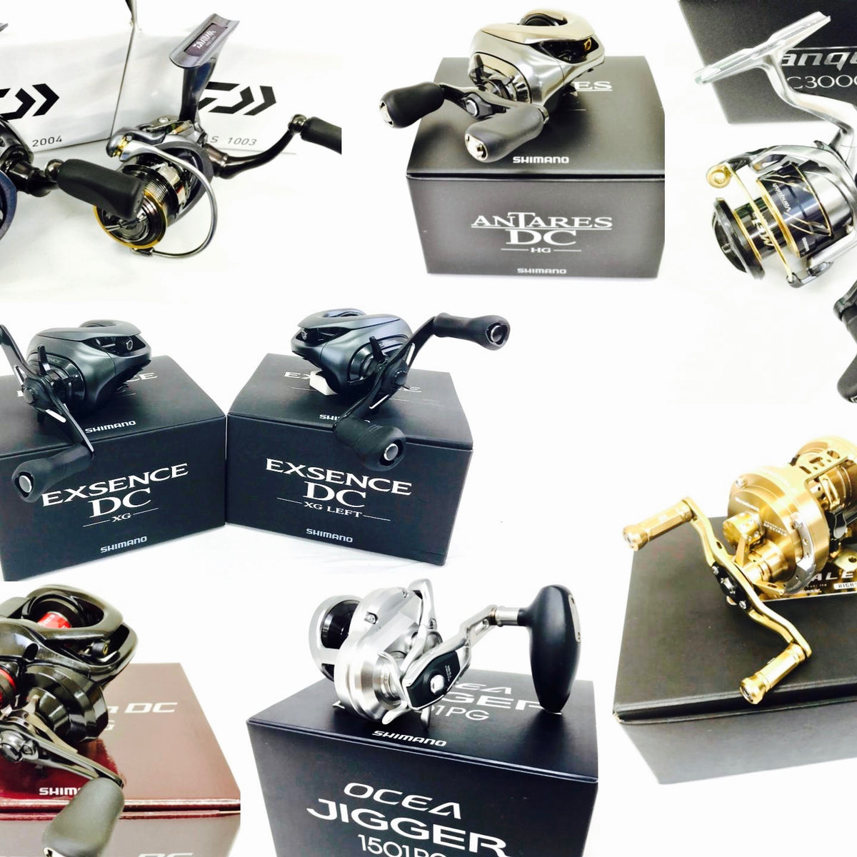 New Reels Just Arrived! – JDM TACKLE HEAVEN