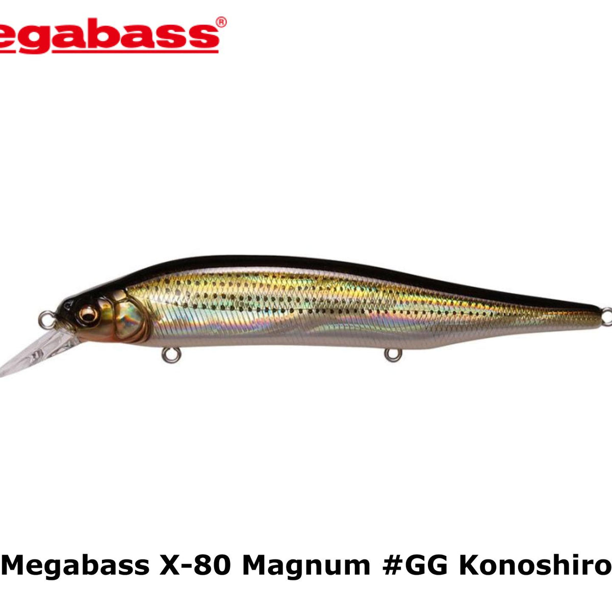 Megabass X-80 Magnum #GG Konoshiro – JDM TACKLE HEAVEN