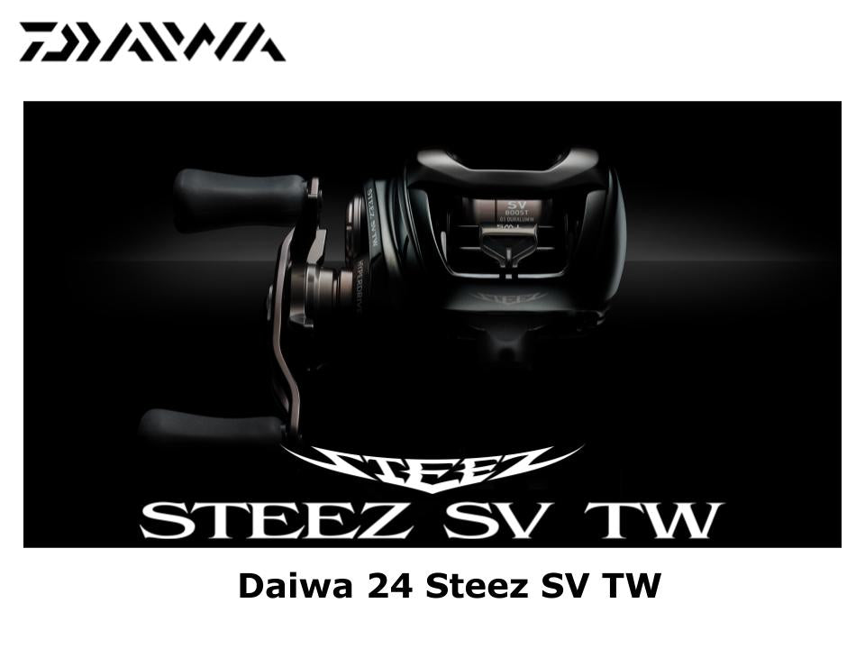 Daiwa 24 Steez SV TW 100 Right – JDM TACKLE HEAVEN