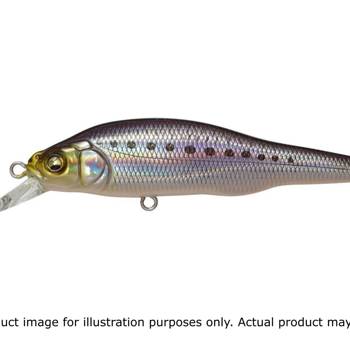 Megabass X-80SW #18 LZ Iwashi – JDM TACKLE HEAVEN