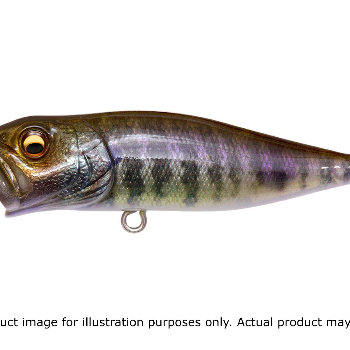 Megabass POP X #FA Baby Gill – JDM TACKLE HEAVEN
