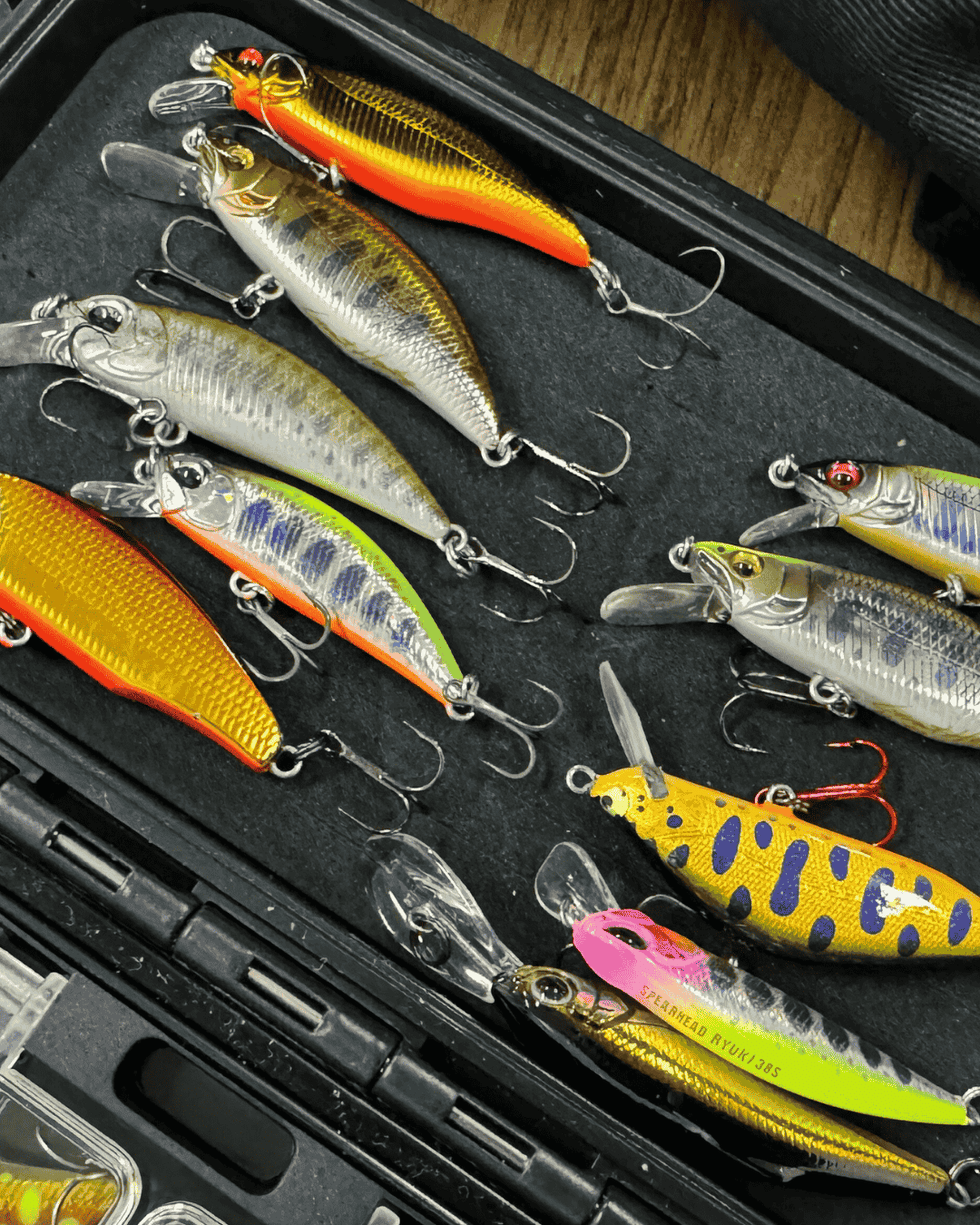 JDM Tackle Heaven - Authentic Japanese Fishing Gear – JDM TACKLE HEAVEN