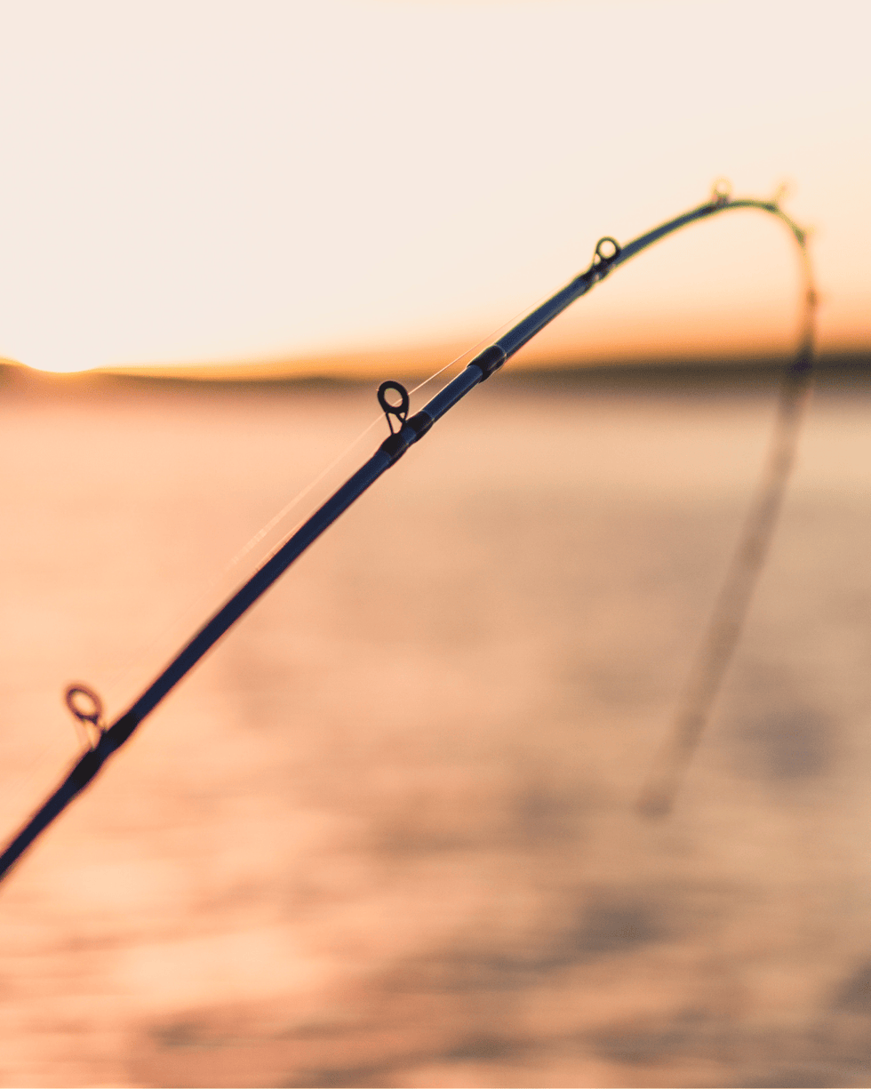 JDM Tackle Heaven - Authentic Japanese Fishing Gear – JDM TACKLE HEAVEN