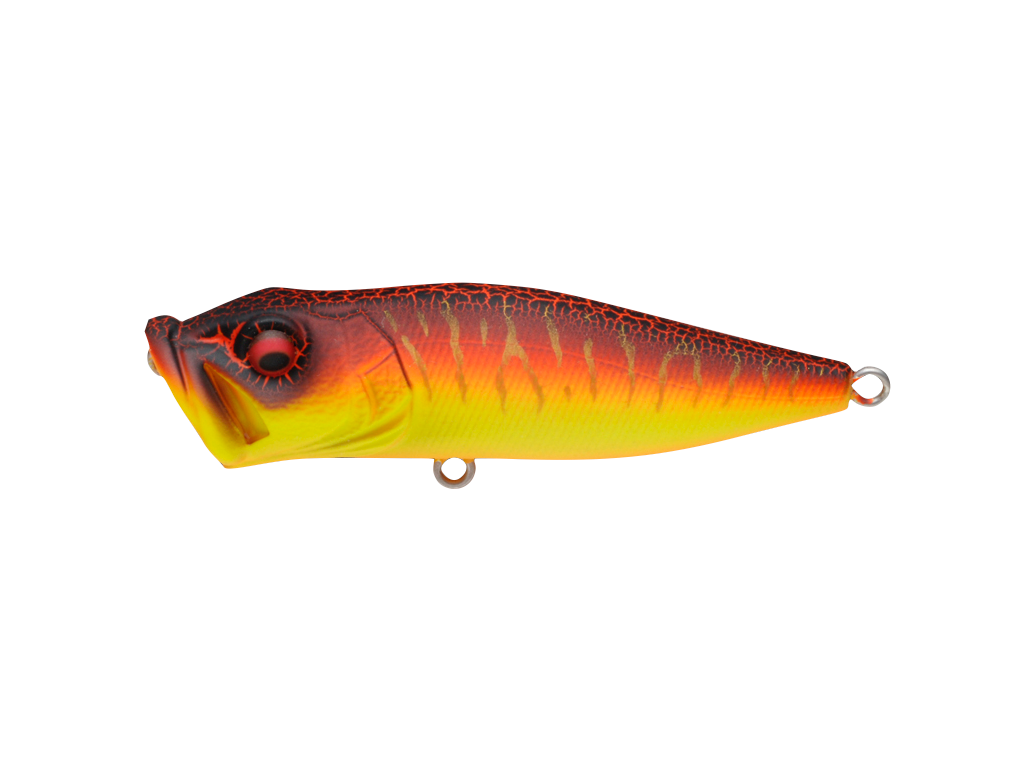 Megabass POP X #24 Aka Tora – JDM TACKLE HEAVEN
